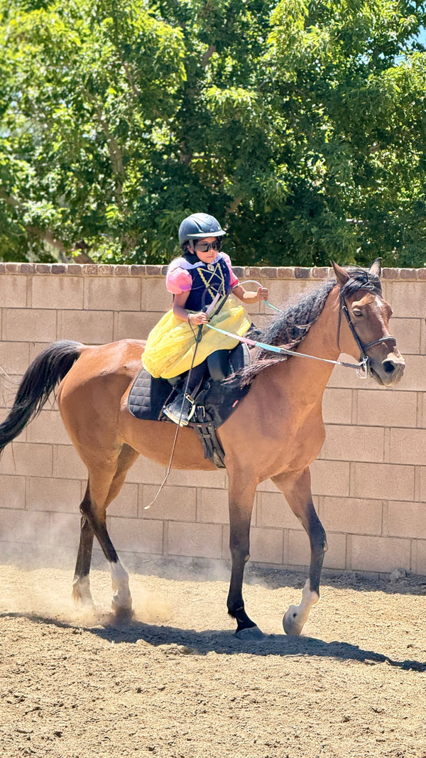 Intro Lesson – Socal Horse Adventures