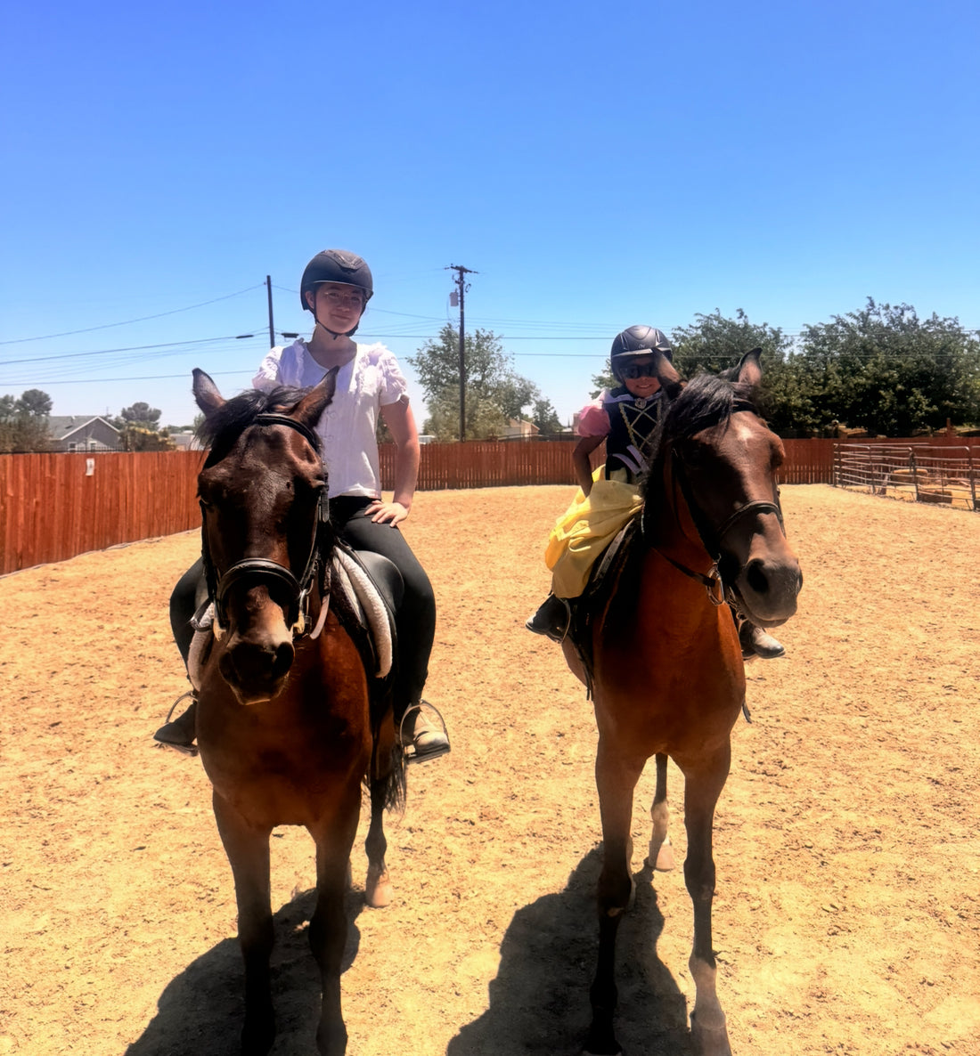 Intro Lesson – Socal Horse Adventures