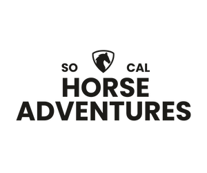 100 Horse Riding Terms for Beginners, Parents and Kids – Socal Horse ...