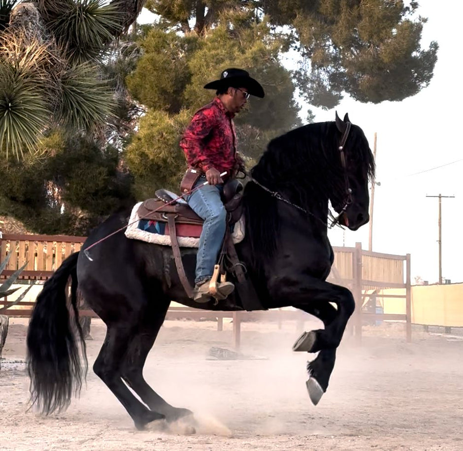 Socal Horse Adventures