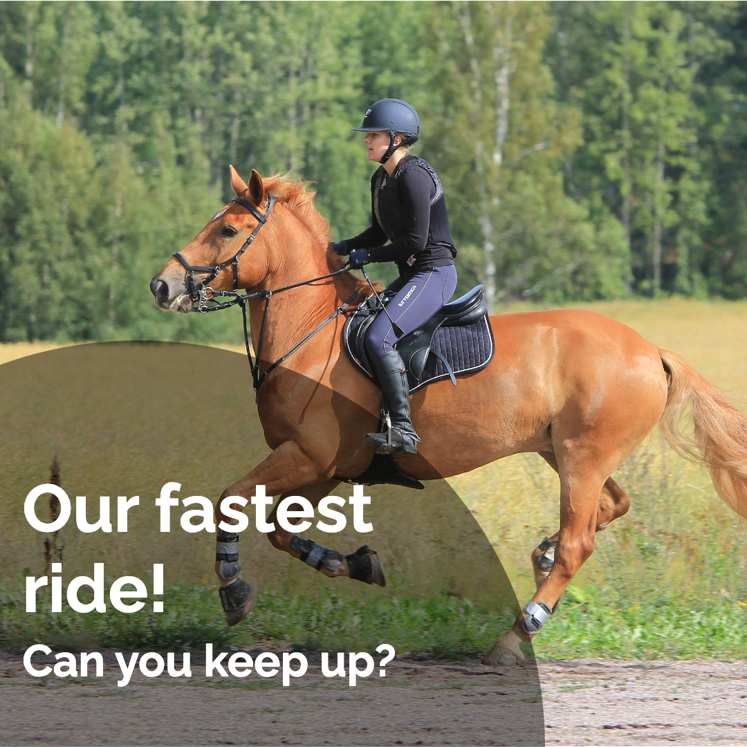 Endurance Riding | ppgbbe.intranet.biologia.ufrj.br